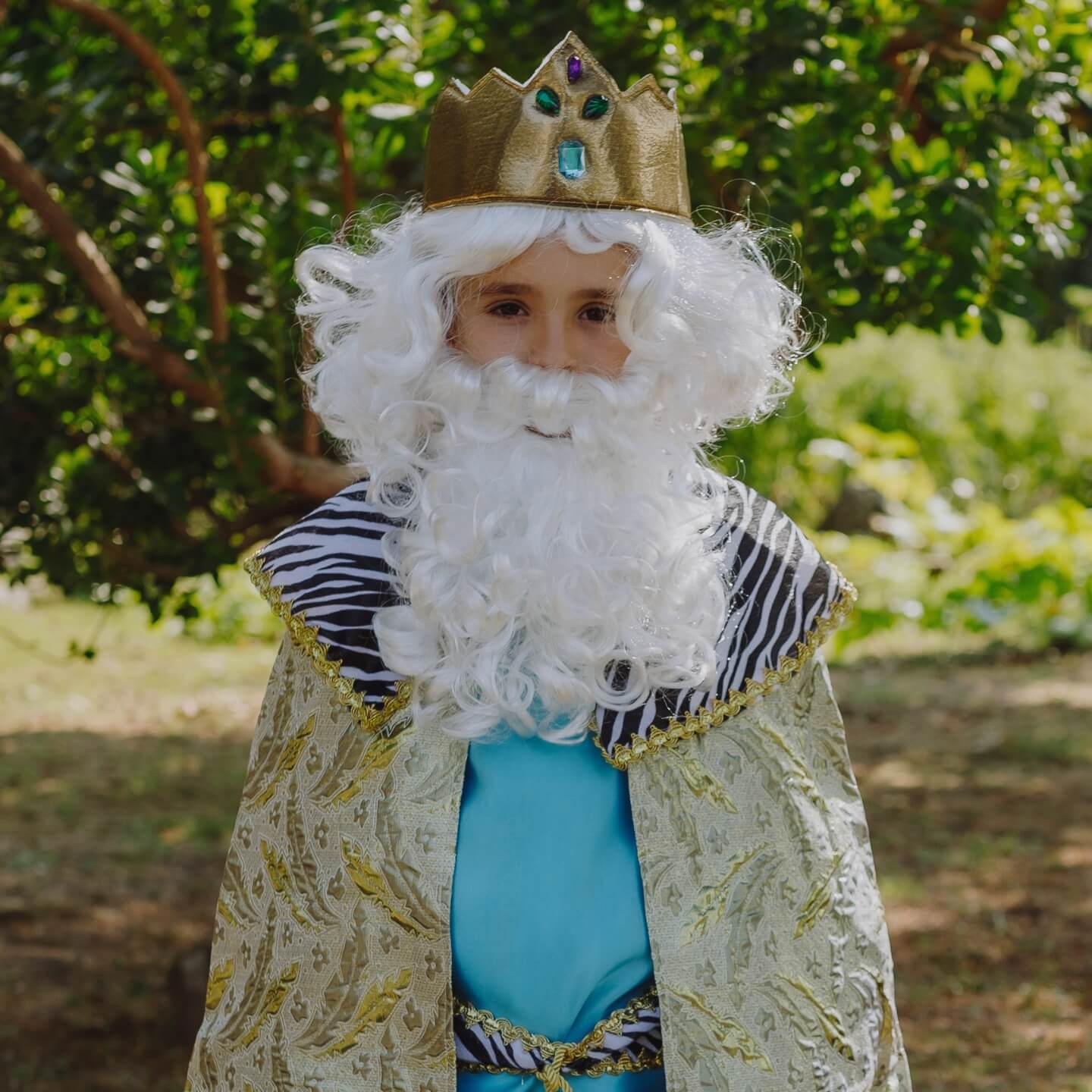 Capes de Roi Mage I Costumalia | Don Disfraz